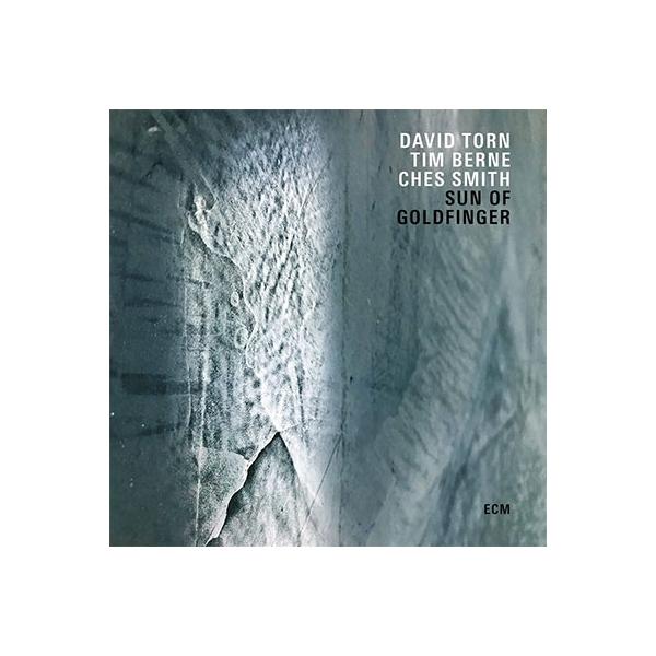 【発売日：2019年03月19日】ご注文後のキャンセル・返品は承れません。発売日:2019年03月19日/商品ID:4855627/ジャンル:JAZZ/フォーマット:CD/構成数:1/レーベル:ECM/アーティスト:David Torn/ア...