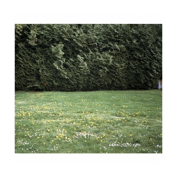 【発売日：2019年04月03日】ご注文後のキャンセル・返品は承れません。priy10発売日:2019年04月03日/商品ID:4858023/ジャンル:J-POP/フォーマット:CD/構成数:1/レーベル:mitsume/アーティスト:ミ...