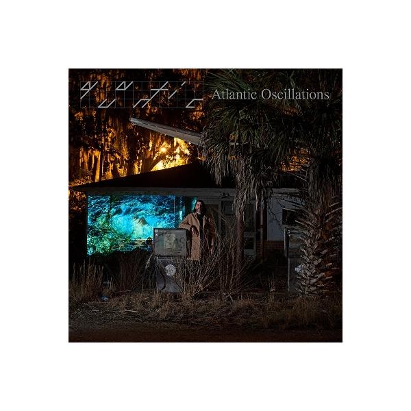 【発売日：2019年06月21日】ご注文後のキャンセル・返品は承れません。発売日:2019年06月21日/商品ID:4899613/ジャンル:WORLD/REGGAE/フォーマット:LP/構成数:2/レーベル:Tru Thoughts/アー...