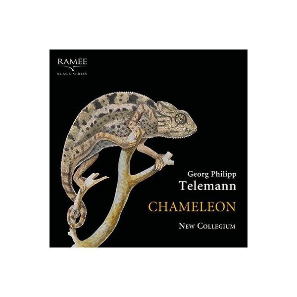 【発売日：2019年06月14日】ご注文後のキャンセル・返品は承れません。発売日:2019年06月14日/商品ID:4902226/ジャンル:CLASSICAL/フォーマット:CD/構成数:1/レーベル:Ramee/アーティスト:ニュー・コ...