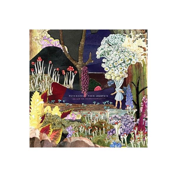 【発売日：2019年05月31日】ご注文後のキャンセル・返品は承れません。発売日:2019年05月31日/商品ID:4903937/ジャンル:ROCK/POP/フォーマット:CD/構成数:1/レーベル:Marathon/アーティスト:Psy...