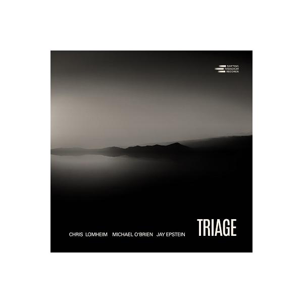 【発売日：2019年05月31日】ご注文後のキャンセル・返品は承れません。発売日:2019年05月下旬/商品ID:4905544/ジャンル:JAZZ/フォーマット:CD/構成数:1/レーベル:Shifting Paradigm Record...