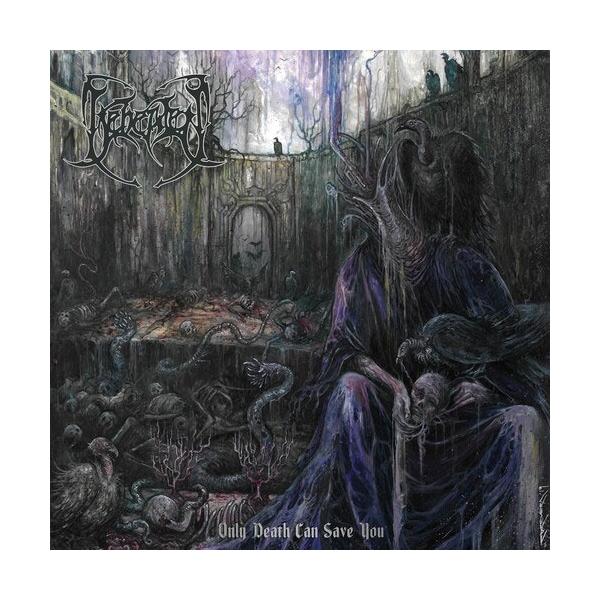 【発売日：2019年06月14日】ご注文後のキャンセル・返品は承れません。発売日:2019年06月14日/商品ID:4907584/ジャンル:ROCK/POP/フォーマット:CD/構成数:1/レーベル:Agonia Records/アーティ...