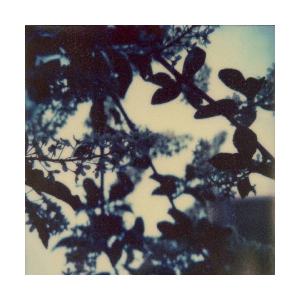 【発売日：2019年06月12日】ご注文後のキャンセル・返品は承れません。発売日:2019年06月12日/商品ID:4908927/ジャンル:JAZZ/フォーマット:CD/構成数:1/レーベル:White Paddy Mountain/アー...