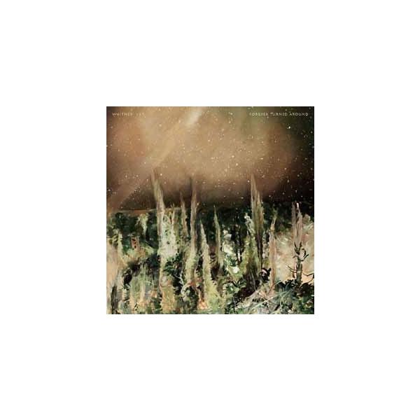 【発売日：2019年08月30日】ご注文後のキャンセル・返品は承れません。発売日:2019年08月30日/商品ID:4922300/ジャンル:ROCK/POP/フォーマット:CD/構成数:1/レーベル:Secretly Canadian/ア...