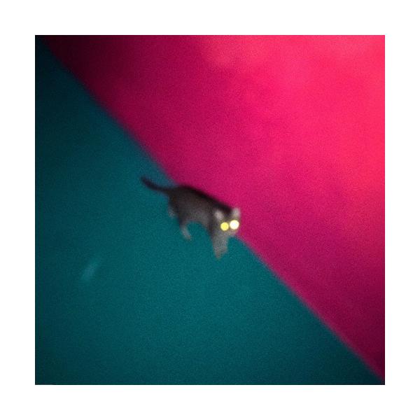 【発売日：2019年08月30日】ご注文後のキャンセル・返品は承れません。発売日:2019年08月30日/商品ID:4926099/ジャンル:ROCK/POP/フォーマット:CD/構成数:1/レーベル:WARP/アーティスト:!!!/アーテ...