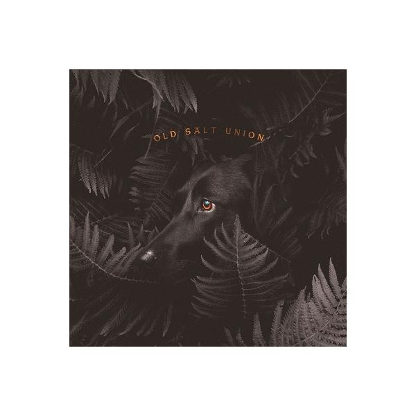 【発売日：2019年08月16日】ご注文後のキャンセル・返品は承れません。発売日:2019年08月16日/商品ID:4927704/ジャンル:COUNTRY/BLUES/フォーマット:CD/構成数:1/レーベル:Compass (USA)/...