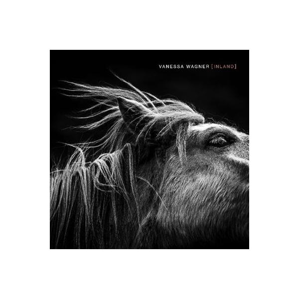 【発売日：2019年04月26日】ご注文後のキャンセル・返品は承れません。発売日:2019年04月26日/商品ID:4934125/ジャンル:JAZZ/フォーマット:LP/構成数:2/レーベル:Infine/アーティスト:Vanessa W...