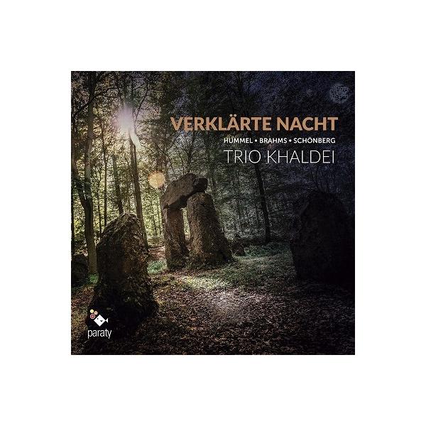 【発売日：2019年09月12日】ご注文後のキャンセル・返品は承れません。発売日:2019年09月12日/商品ID:4941270/ジャンル:CLASSICAL/フォーマット:CD/構成数:1/レーベル:Paraty/アーティスト:ハルデイ...