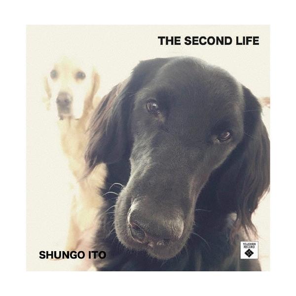 【発売日：2019年08月07日】ご注文後のキャンセル・返品は承れません。発売日:2019年08月07日/商品ID:4941526/ジャンル:J-POP/フォーマット:CD/構成数:1/レーベル:YOJOHAN RECORD/アーティスト:...