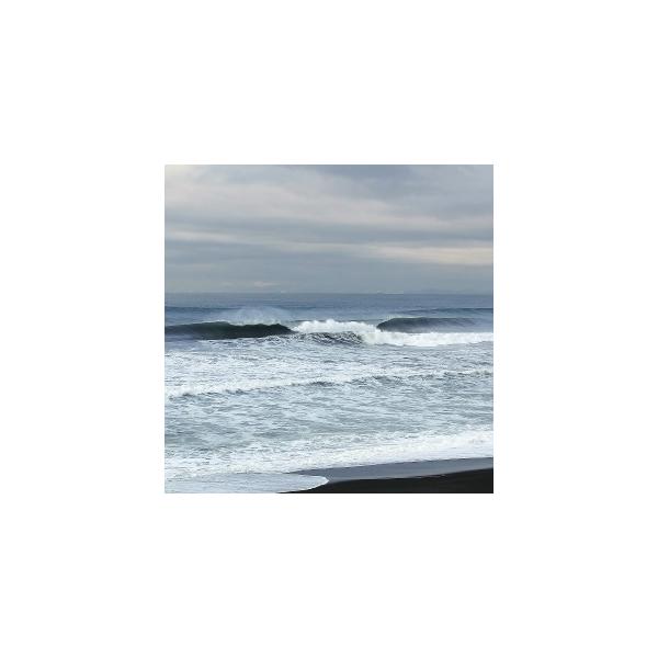 【発売日：2019年10月16日】ご注文後のキャンセル・返品は承れません。発売日:2019年10月16日/商品ID:4956806/ジャンル:J-POP/フォーマット:CD/構成数:1/レーベル:Introducing! Productio...