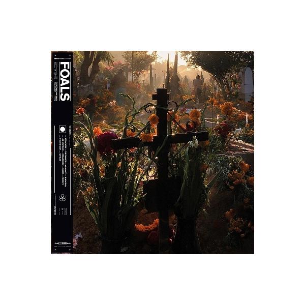 【発売日：2019年10月18日】ご注文後のキャンセル・返品は承れません。発売日:2019年10月18日/商品ID:4963625/ジャンル:ROCK/POP/フォーマット:LP/構成数:1/レーベル:Warner Bros./アーティスト...