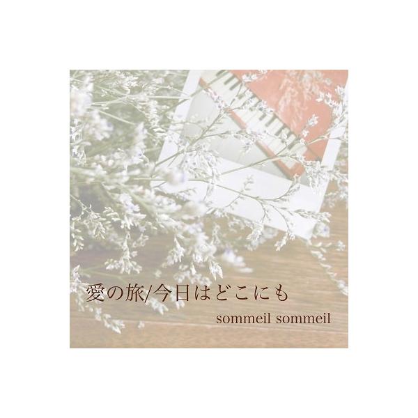 【発売日：2020年12月16日】ご注文後のキャンセル・返品は承れません。発売日:2020年12月16日/商品ID:4969125/ジャンル:J-POP/フォーマット:12cmCD Single/構成数:1/レーベル:そわそわRECORDS...