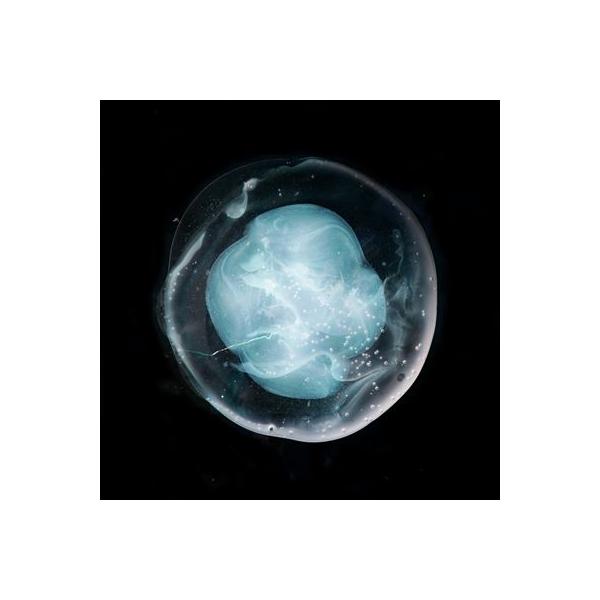 【発売日：2019年11月20日】ご注文後のキャンセル・返品は承れません。発売日:2019年11月中旬/商品ID:4971470/ジャンル:JAZZ/フォーマット:CD/構成数:1/レーベル:Ninja Tune/アーティスト:A Wing...