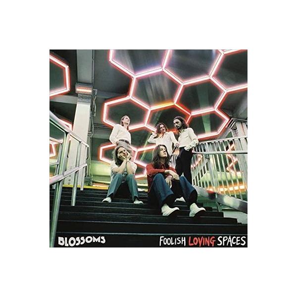 【発売日：2020年01月31日】ご注文後のキャンセル・返品は承れません。発売日:2020年01月31日/商品ID:4994694/ジャンル:ROCK/POP/フォーマット:LP/構成数:1/レーベル:Caroline Internatio...