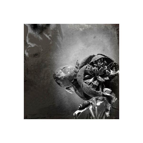 【発売日：2019年12月25日】ご注文後のキャンセル・返品は承れません。発売日:2019年12月25日/商品ID:4994823/ジャンル:JAZZ/フォーマット:CD/構成数:1/レーベル:FULLDESIGN RECORDS/アーティ...