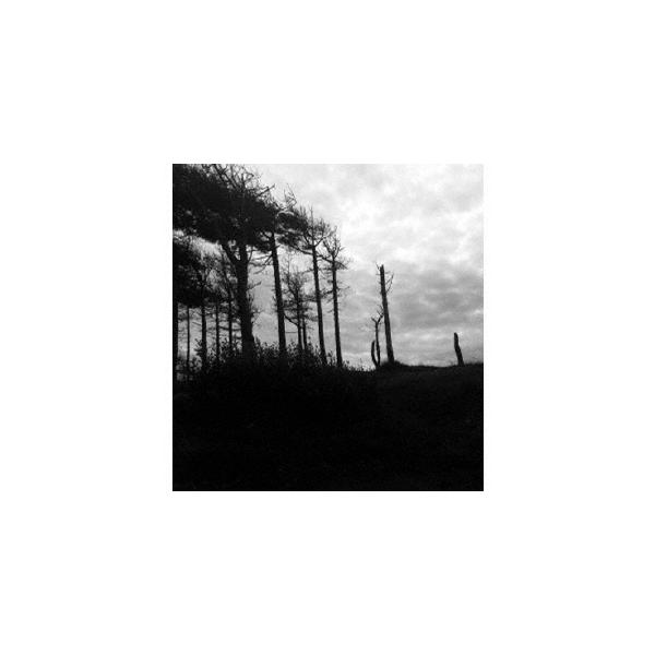 【発売日：2020年01月31日】ご注文後のキャンセル・返品は承れません。発売日:2020年01月31日/商品ID:5003070/ジャンル:JAZZ/フォーマット:LP/構成数:1/レーベル:schole records/アーティスト:D...