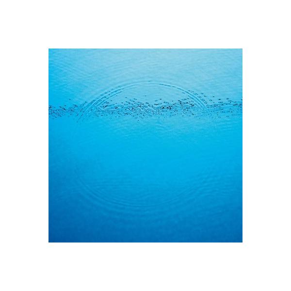 【発売日：2020年03月10日】ご注文後のキャンセル・返品は承れません。発売日:2020年03月上旬/商品ID:5005082/ジャンル:SOUL/CLUB/RAP/フォーマット:CD/構成数:1/レーベル:City Slang/アーティ...