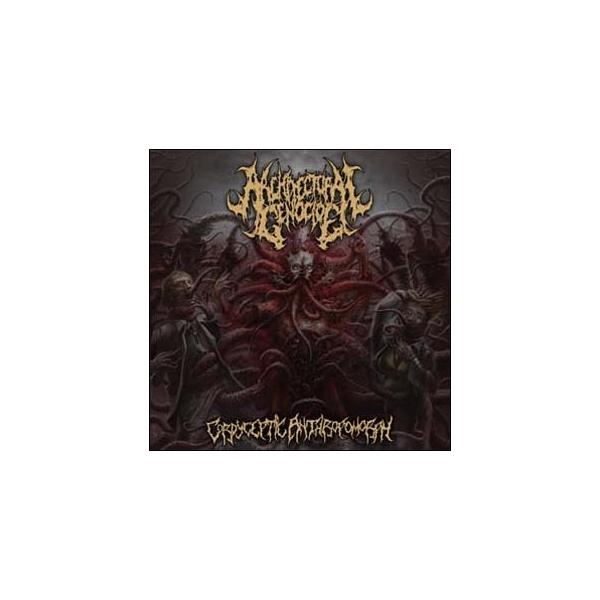 【発売日：2020年03月16日】ご注文後のキャンセル・返品は承れません。発売日:2020年03月16日/商品ID:5008397/ジャンル:ROCK/POP/フォーマット:CD/構成数:1/レーベル:Comatose Music/アーティ...