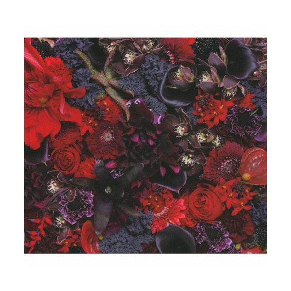 【発売日：2020年03月18日】ご注文後のキャンセル・返品は承れません。発売日:2020年03月18日/商品ID:5012469/ジャンル:JAZZ/フォーマット:CD/構成数:1/レーベル:FABTONE/アーティスト:SALVALAI...