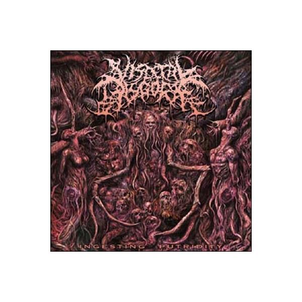 【発売日：2020年02月28日】ご注文後のキャンセル・返品は承れません。発売日:2020年02月28日/商品ID:5015200/ジャンル:ROCK/POP/フォーマット:CD/構成数:1/レーベル:Agonia Records/アーティ...