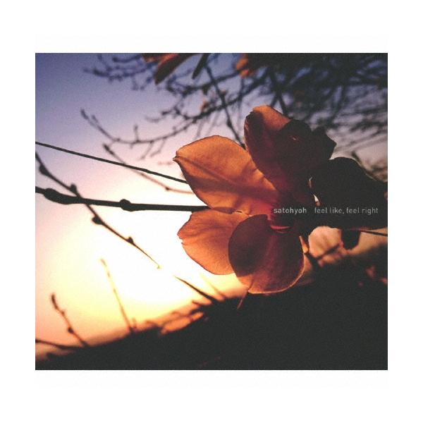 【発売日：2020年03月11日】ご注文後のキャンセル・返品は承れません。発売日:2020年03月11日/商品ID:5016025/ジャンル:J-POP/フォーマット:CD/構成数:1/レーベル:PROGRESSIVE FOrM/アーティス...