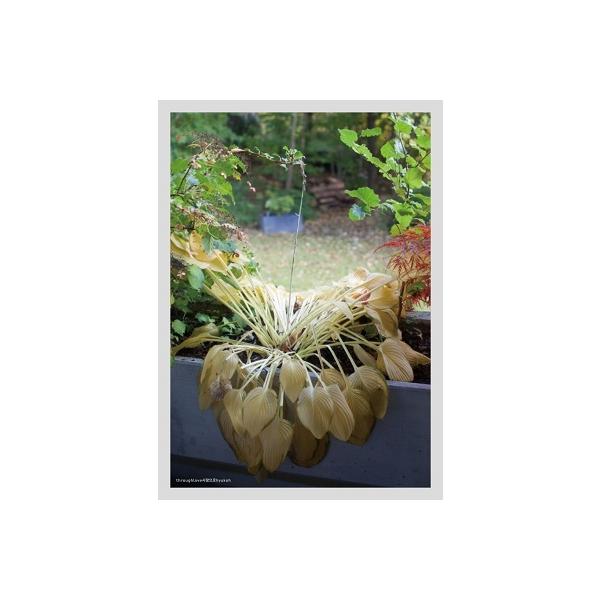 【発売日：2020年02月06日】ご注文後のキャンセル・返品は承れません。発売日:2020年02月06日/商品ID:5018958/ジャンル:ROCK/POP/フォーマット:CD/構成数:1/レーベル:GENIE MUSIC/アーティスト:...