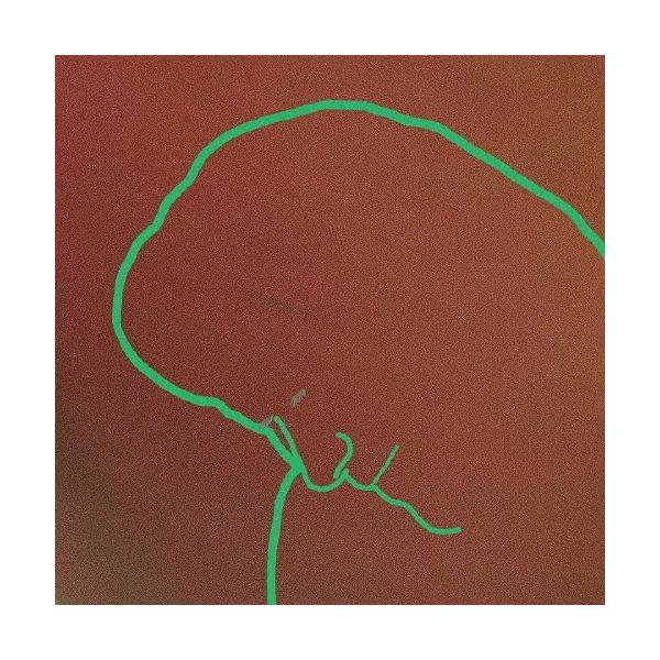 【発売日：2020年06月03日】ご注文後のキャンセル・返品は承れません。発売日:2020年06月03日/商品ID:5025012/ジャンル:J-POP/フォーマット:CD/構成数:1/レーベル:Ceramic Foot/アーティスト:Jo...