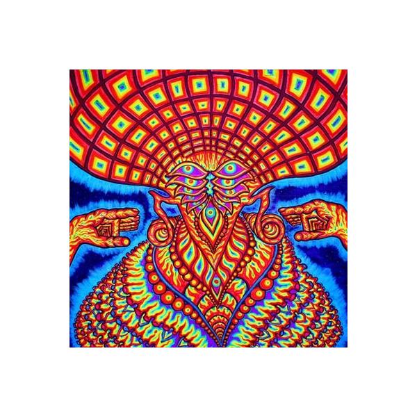 【発売日：2020年04月10日】ご注文後のキャンセル・返品は承れません。発売日:2020年04月10日/商品ID:5030900/ジャンル:ROCK/POP/フォーマット:LP/構成数:1/レーベル:Anti/アーティスト:The Dre...