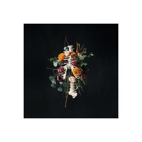 【発売日：2020年06月12日】ご注文後のキャンセル・返品は承れません。発売日:2020年06月12日/商品ID:5033149/ジャンル:COUNTRY/BLUES/フォーマット:CD/構成数:1/レーベル:Provident Musi...