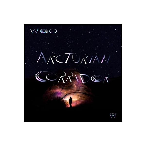 【発売日：2020年07月07日】ご注文後のキャンセル・返品は承れません。発売日:2020年07月07日/商品ID:5058612/ジャンル:ROCK/POP/フォーマット:LP/構成数:1/レーベル:Quindi Records/アーティ...