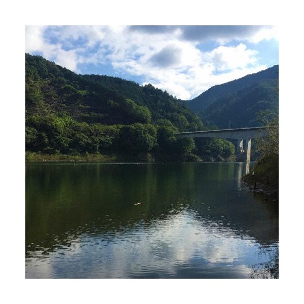 【発売日：2020年08月12日】ご注文後のキャンセル・返品は承れません。発売日:2020年08月12日/商品ID:5064874/ジャンル:J-POP/フォーマット:CD/構成数:1/レーベル:ExT Recordings/アーティスト:...