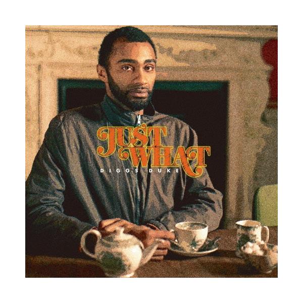 【発売日：2020年08月26日】ご注文後のキャンセル・返品は承れません。発売日:2020年08月26日/商品ID:5068095/ジャンル:SOUL/CLUB/RAP/フォーマット:CD/構成数:1/レーベル:Octave/アーティスト:...