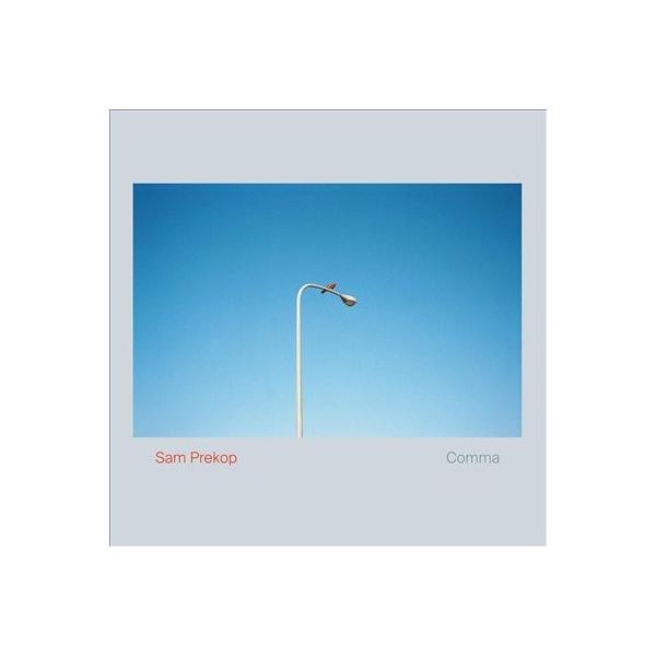 【発売日：2020年09月11日】ご注文後のキャンセル・返品は承れません。発売日:2020年09月11日/商品ID:5078634/ジャンル:ROCK/POP/フォーマット:LP/構成数:1/レーベル:Thrill Jockey/アーティス...