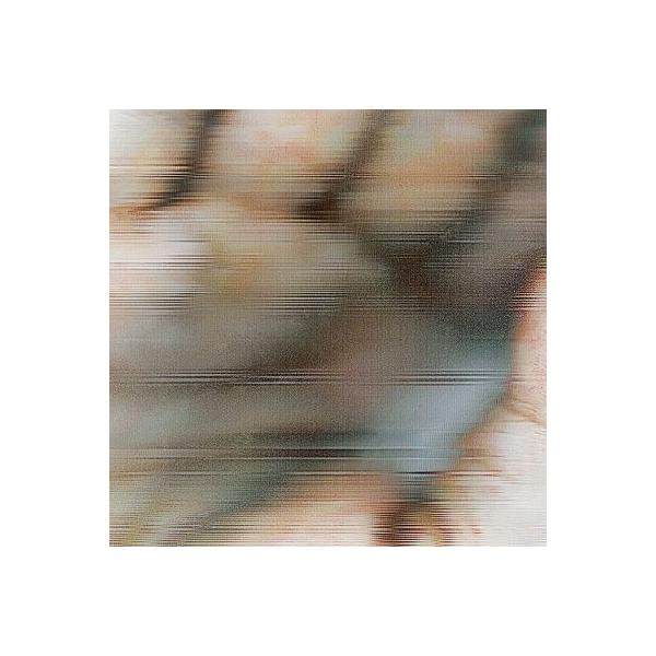 【発売日：2020年10月09日】ご注文後のキャンセル・返品は承れません。発売日:2020年10月09日/商品ID:5078772/ジャンル:SOUL/CLUB/RAP/フォーマット:LP/構成数:2/レーベル:Evolution Reco...