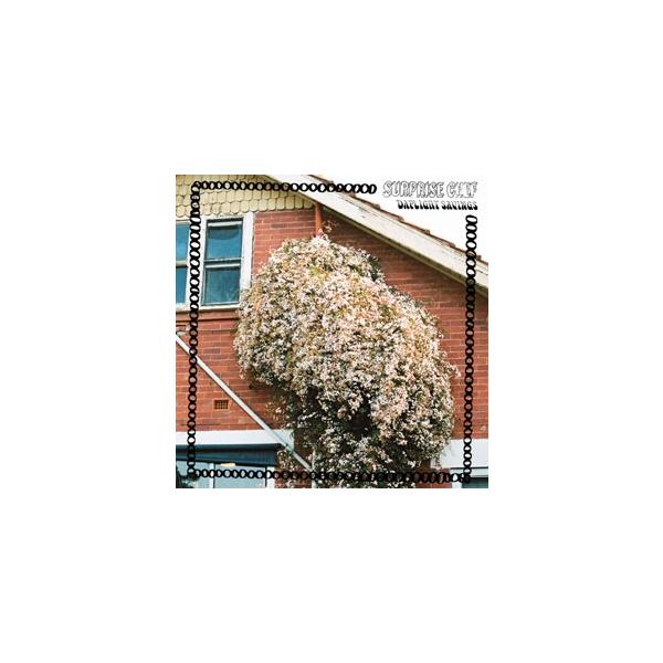 【発売日：2020年10月16日】ご注文後のキャンセル・返品は承れません。発売日:2020年10月16日/商品ID:5090403/ジャンル:JAZZ/フォーマット:CD/構成数:1/レーベル:Mr. Bongo/アーティスト:Surpri...