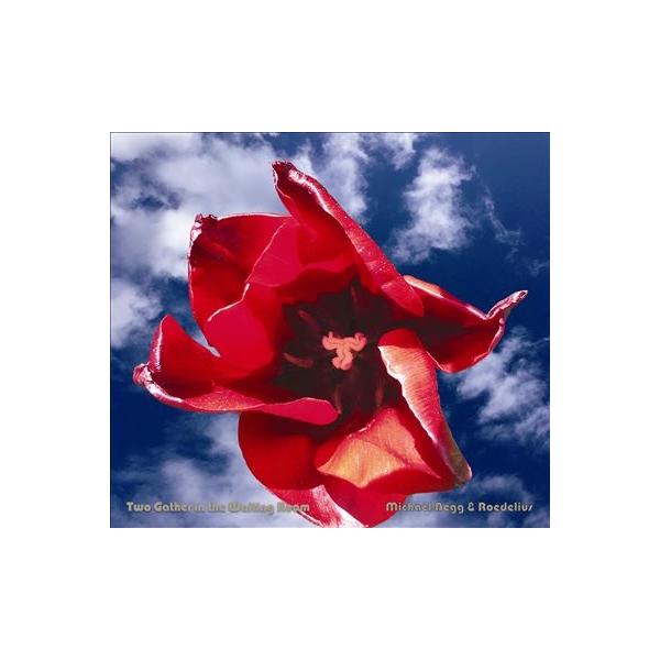 【発売日：2020年11月06日】ご注文後のキャンセル・返品は承れません。発売日:2020年11月06日/商品ID:5101399/ジャンル:JAZZ/フォーマット:CD/構成数:1/レーベル:Klanggalerie/アーティスト:Han...