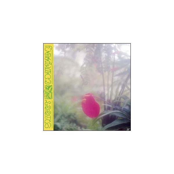 【発売日：2020年11月20日】ご注文後のキャンセル・返品は承れません。発売日:2020年11月20日/商品ID:5112646/ジャンル:SOUL/CLUB/RAP/フォーマット:LP/構成数:1/レーベル:Do You Have Pe...