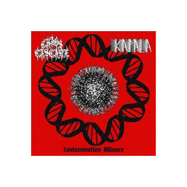 【発売日：2020年12月11日】ご注文後のキャンセル・返品は承れません。発売日:2020年12月11日/商品ID:5117618/ジャンル:ROCK/POP/フォーマット:7inch Single/構成数:1/レーベル:Dunkelhei...