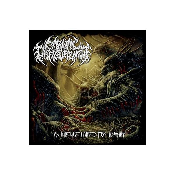 【発売日：2020年12月11日】ご注文後のキャンセル・返品は承れません。発売日:2020年12月11日/商品ID:5117641/ジャンル:ROCK/POP/フォーマット:CD/構成数:1/レーベル:Amputated Vein/アーティ...