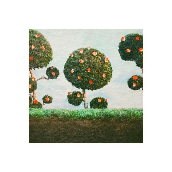 【発売日：2021年01月15日】ご注文後のキャンセル・返品は承れません。発売日:2021年01月15日/商品ID:5120783/ジャンル:ROCK/POP/フォーマット:LP/構成数:1/レーベル:Jagjaguwar/アーティスト:M...