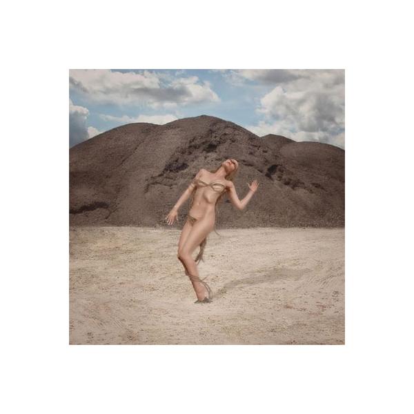 【発売日：2021年02月20日】ご注文後のキャンセル・返品は承れません。発売日:2021年02月20日/商品ID:5127108/ジャンル:ROCK/POP/フォーマット:LP/構成数:1/レーベル:Bayonet Records/アーテ...