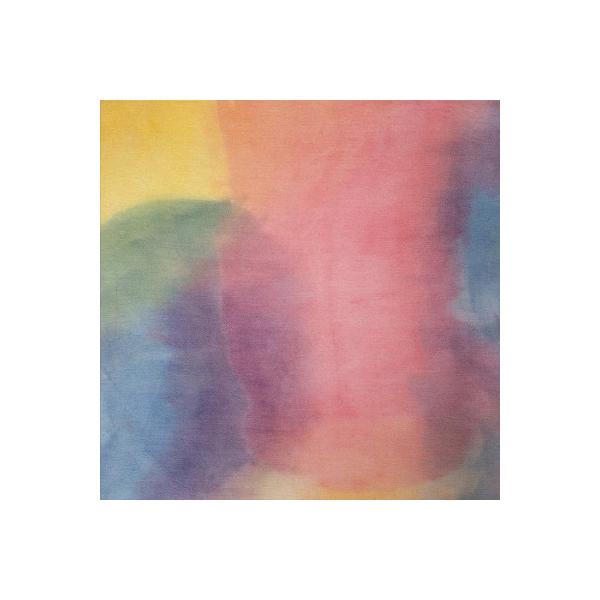 【発売日：2021年01月29日】ご注文後のキャンセル・返品は承れません。発売日:2021年01月29日/商品ID:5131073/ジャンル:ROCK/POP/フォーマット:LP/構成数:1/レーベル:Fire Records/アーティスト...