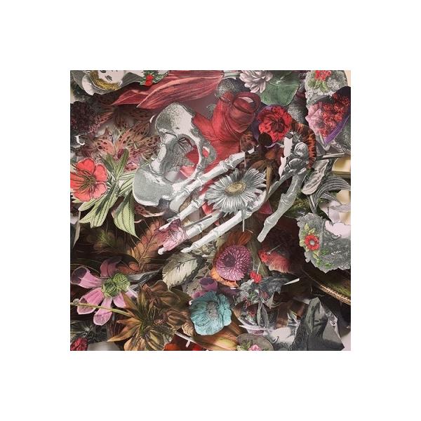 【発売日：2021年02月12日】ご注文後のキャンセル・返品は承れません。発売日:2021年02月12日/商品ID:5151980/ジャンル:ROCK/POP/フォーマット:LP/構成数:1/レーベル:Number Witch/アーティスト...