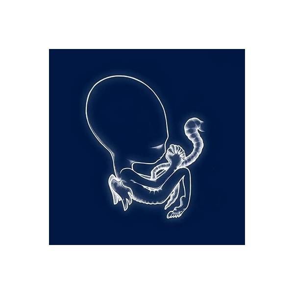【発売日：2021年10月01日】ご注文後のキャンセル・返品は承れません。発売日:2021年10月01日/商品ID:5154766/ジャンル:ROCK/POP/フォーマット:LP/構成数:2/レーベル:ADA/アーティスト:Sigur Ro...