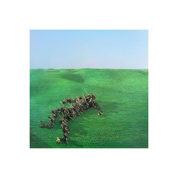 【発売日：2021年05月07日】ご注文後のキャンセル・返品は承れません。発売日:2021年05月07日/商品ID:5156444/ジャンル:ROCK/POP/フォーマット:CD/構成数:1/レーベル:Warp Records/アーティスト...