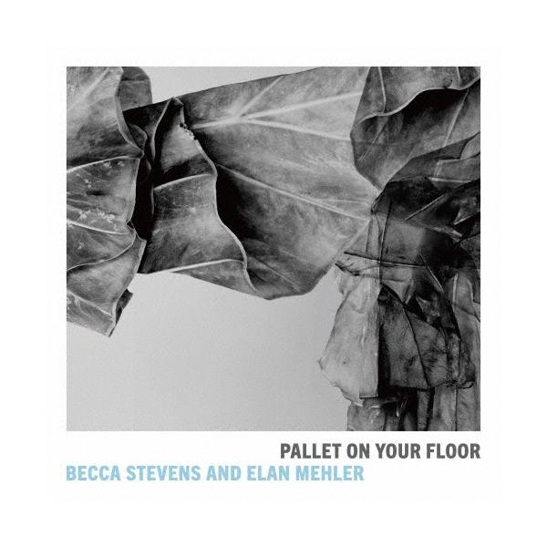 【発売日：2021年04月21日】ご注文後のキャンセル・返品は承れません。発売日:2021年04月21日/商品ID:5161980/ジャンル:JAZZ/フォーマット:CD/構成数:1/レーベル:コアポート/アーティスト:Becca Stev...