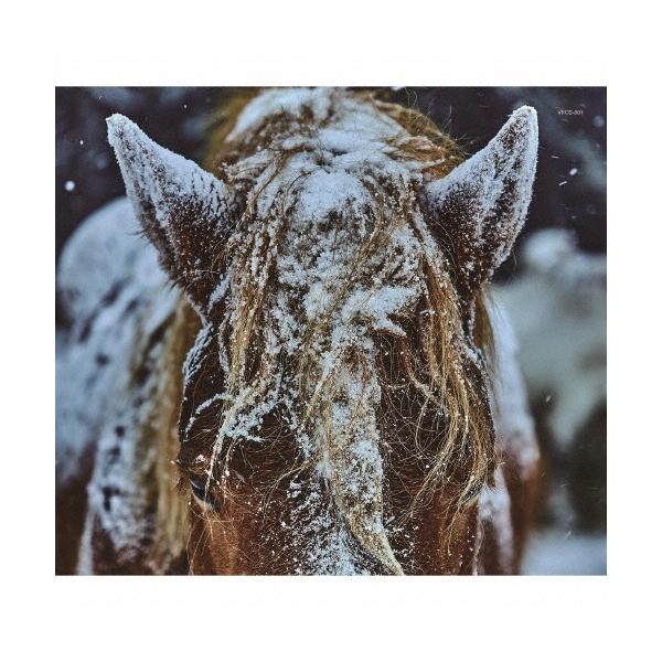 【発売日：2021年04月21日】ご注文後のキャンセル・返品は承れません。発売日:2021年04月21日/商品ID:5163143/ジャンル:J-POP/フォーマット:CD/構成数:1/レーベル:vorfahr/アーティスト:THE AND...