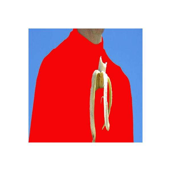 【発売日：2021年04月30日】ご注文後のキャンセル・返品は承れません。発売日:2021年04月30日/商品ID:5164705/ジャンル:ROCK/POP/フォーマット:LP/構成数:1/レーベル:Nonesuch/アーティスト:Sam...