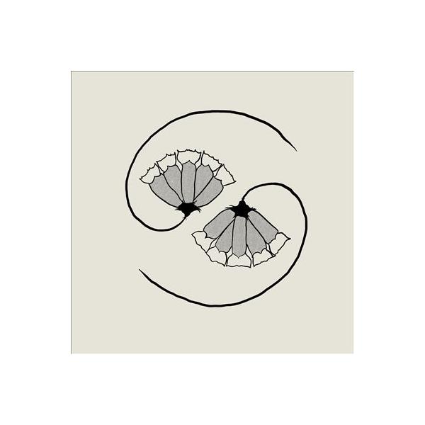 【発売日：2021年05月08日】ご注文後のキャンセル・返品は承れません。発売日:2021年05月08日/商品ID:5170130/ジャンル:ROCK/POP/フォーマット:CD/構成数:1/レーベル:Constellation/アーティス...